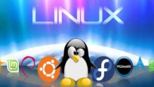 10 Distro Linux Terbaik Yang Paling Banyak Digunakan Tahun Ini %tahun ...