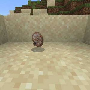 How to get nautilus shells in minecraft