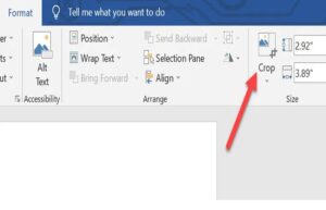 So beschneiden Sie ein Bild in einem Kreis – Anleitung %sitename ...