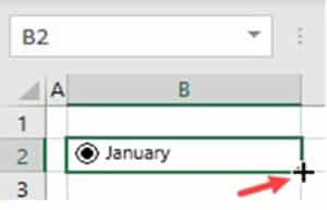 Adding and Grouping a Radio Button in Excel