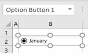 Adding and Grouping a Radio Button in Excel