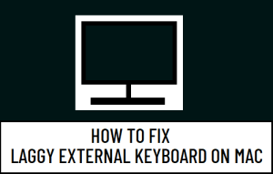 How to fix a slow or laggy keyboard on Mac - Mundobytes