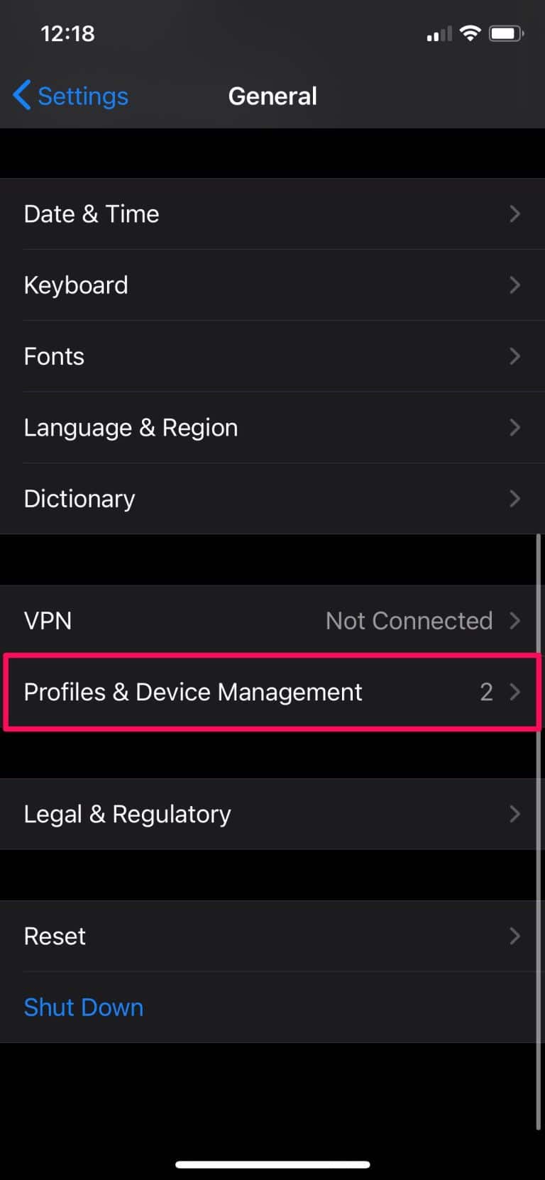 如何在 iPhone 和 iPad 上安装 AltStore - Mundobytes
