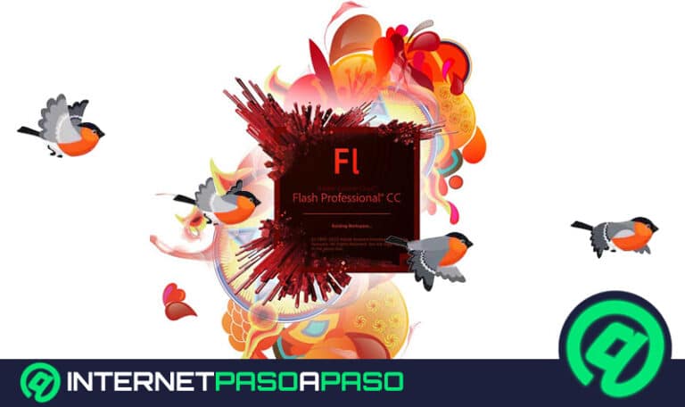 How to Download Adobe Flash CS6: Step-by-Step Guide for Beginners ...