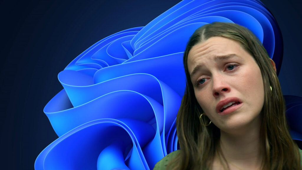 Differences between versions of Microsoft Office (2024) and Microsoft 365