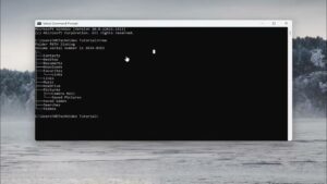 Todos os métodos para limpar a tela no console do Windows