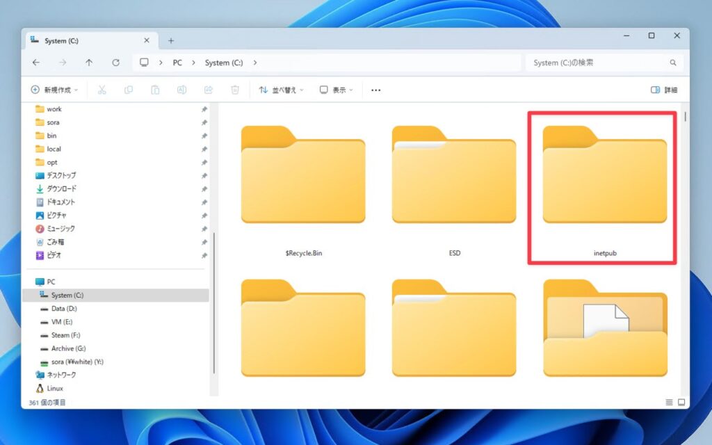 Inetpub folder in Windows: what it is, what it's for, and whether you ...