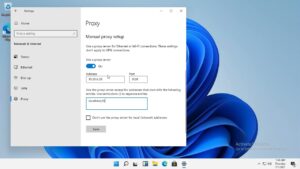 Volledige handleiding voor het instellen van een proxyserver in Windows 11