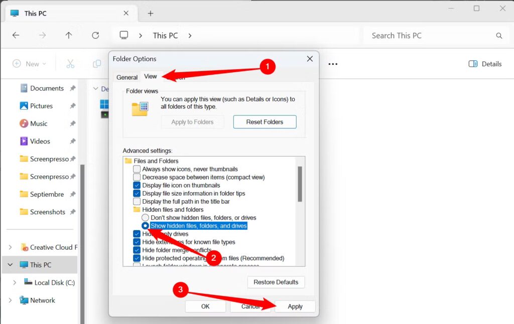 Complete guide to showing or hiding hidden files in Windows 11