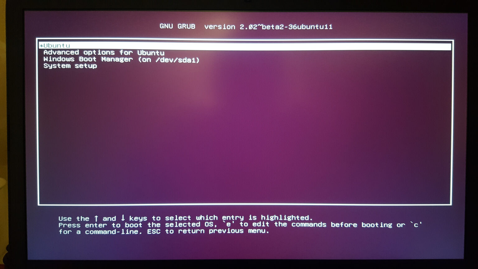 Change boot order in dual boot Windows and Linux